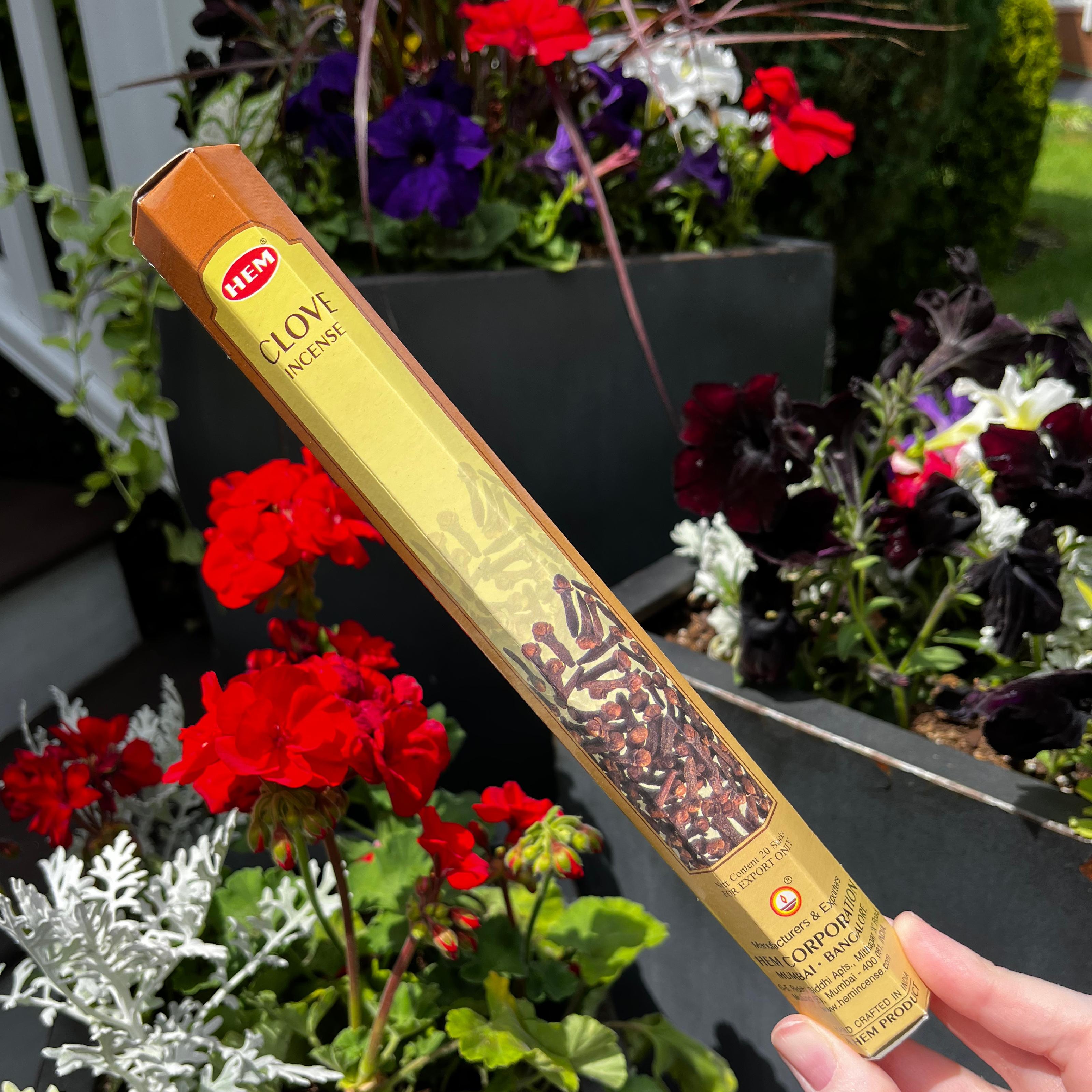 Clove Incense Sticks – Kat's Crystal Candy